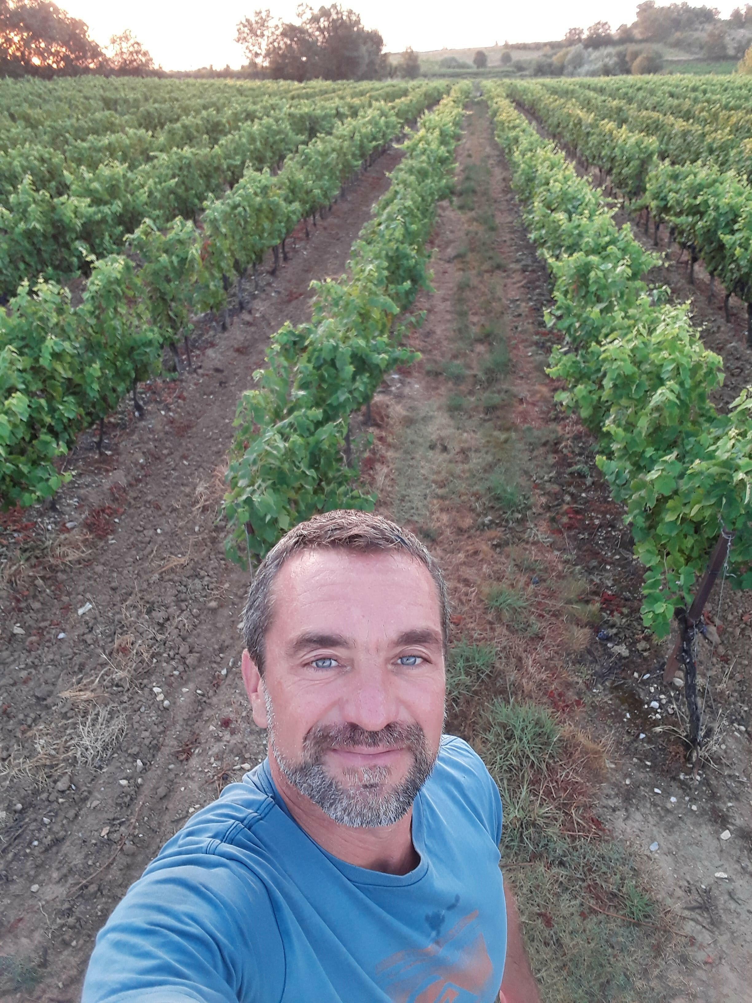 témoignage interview vigneron viticulture gard